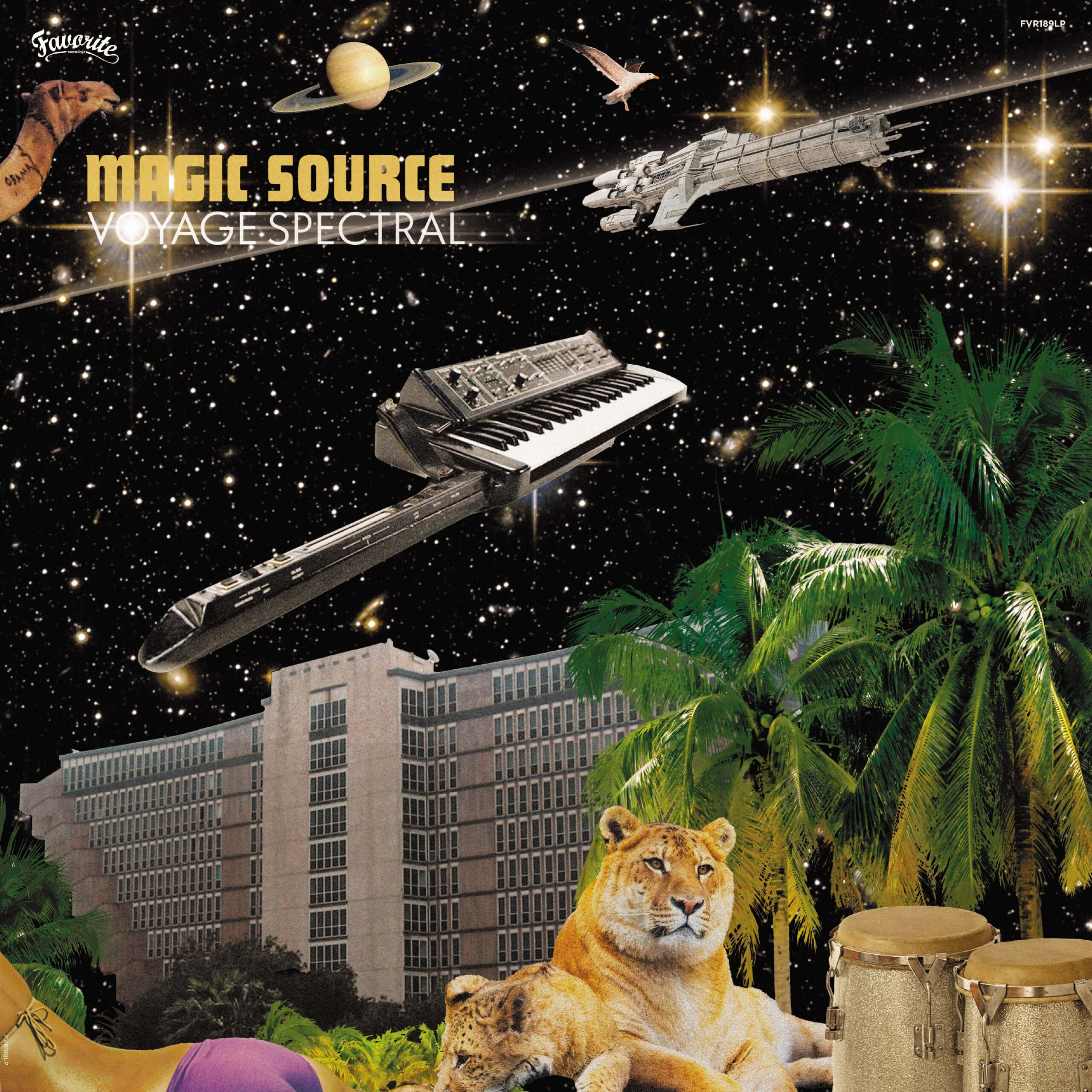 Magic Source / Voyage Spectral (LP) - Favorite Recordings